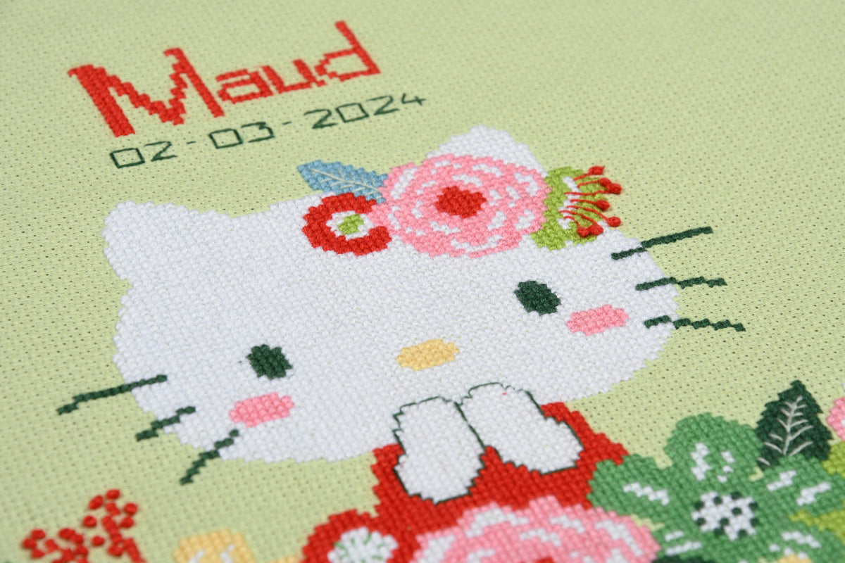 Counted Cross Stich Kit with Hoop ~ Hello Kitty Green Floral – Cotton ...